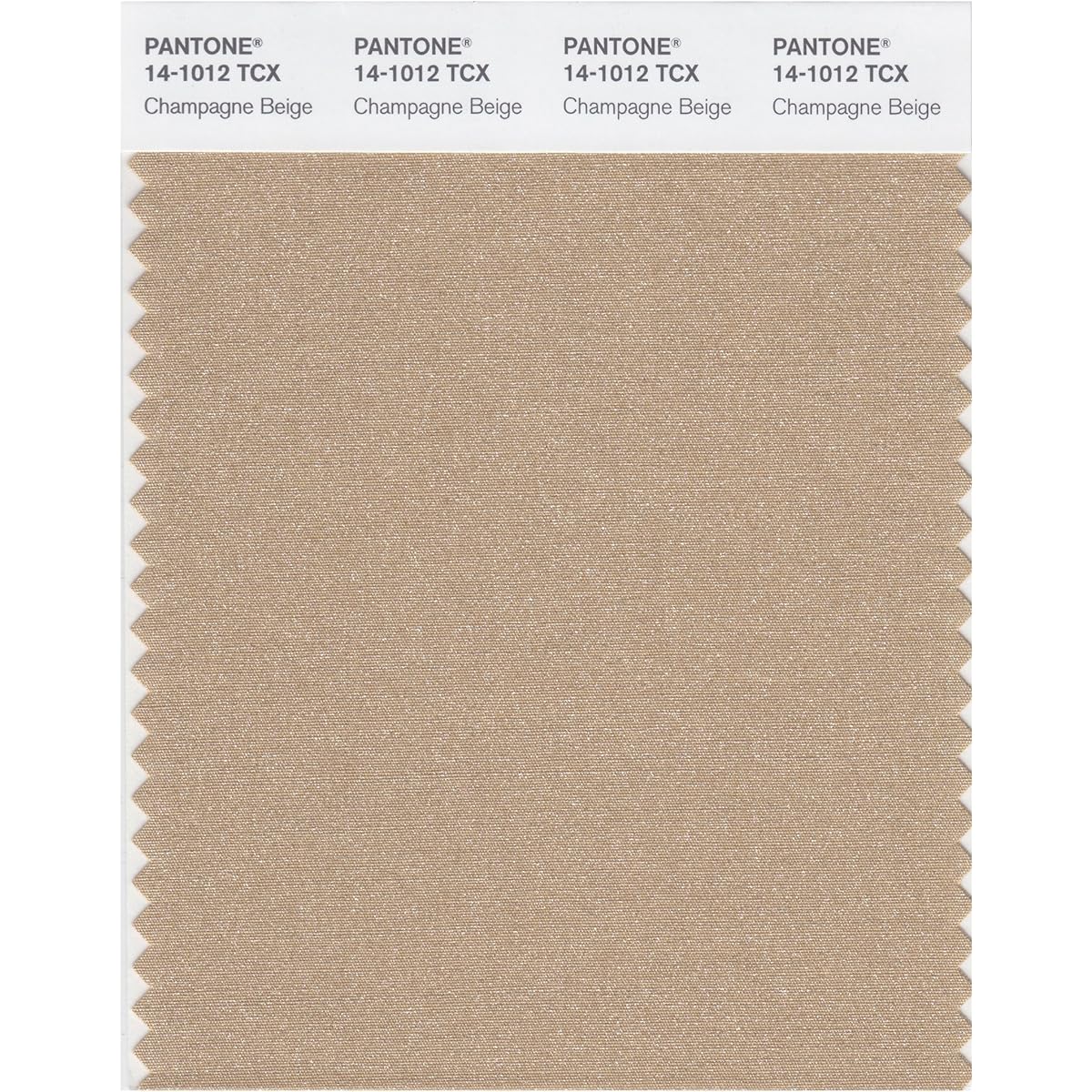 PANTONE SMART 14-1012X Color Swatch Card, Champagne Beige by Pantone ...